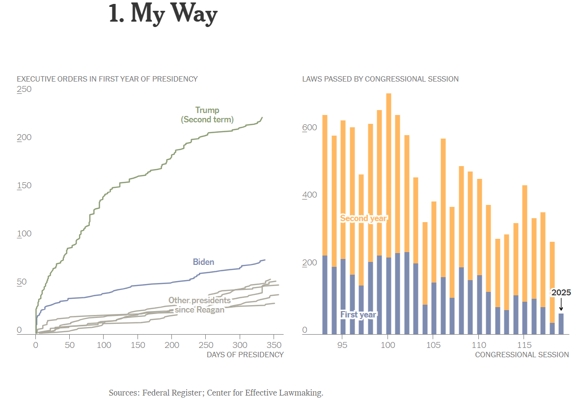 New York Times: Trump’s First Year Back, in 10 Charts | Steve Rattner
