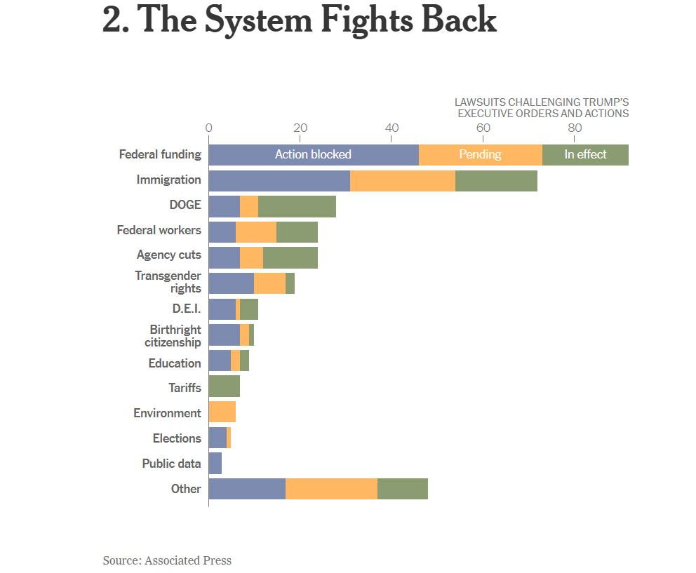 New York Times: Trump’s First Year Back, in 10 Charts | Steve Rattner